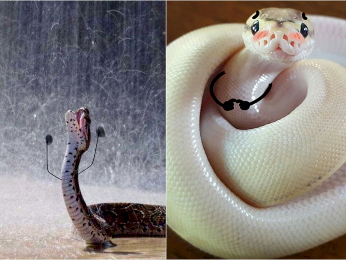 Nggak Lagi Menyeramkan, Begini Potret Lucu Doodle Ular | Indozone.id