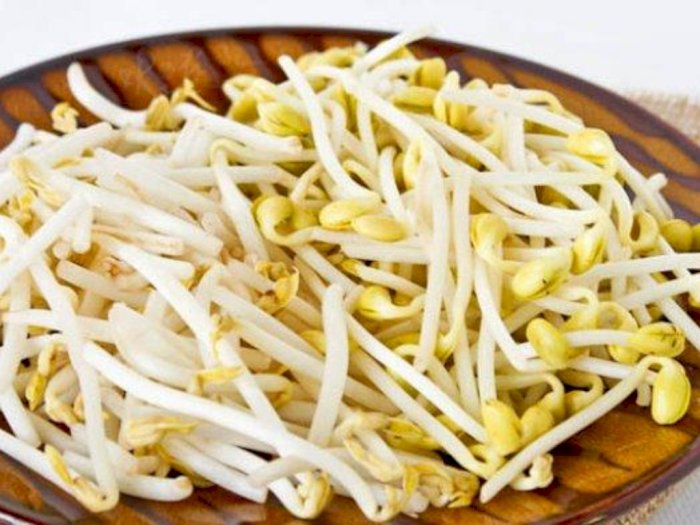 Tips Menyimpan Taoge supaya Lebih Awet dan Tetap Segar | Indozone.id