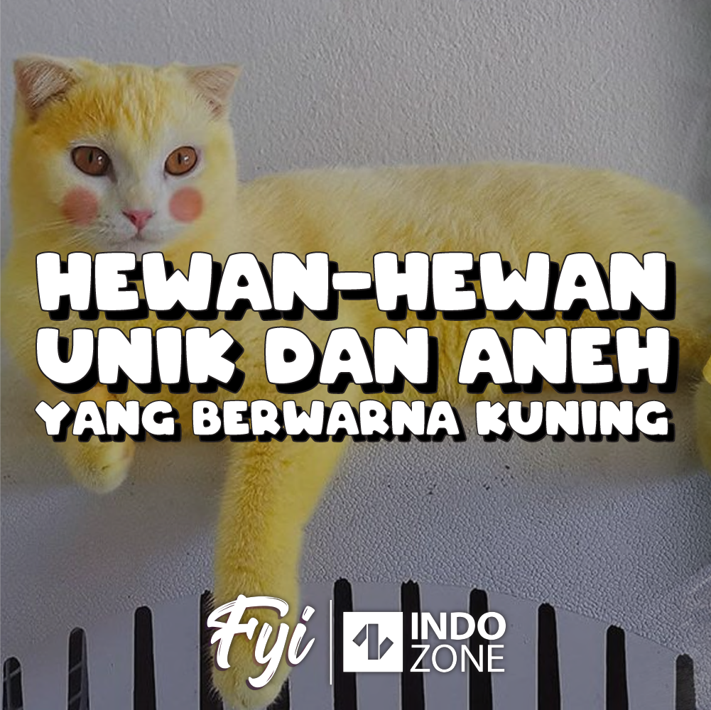 Hewan-Hewan Unik Dan Aneh Yang Berwarna Kuning | Indozone.id