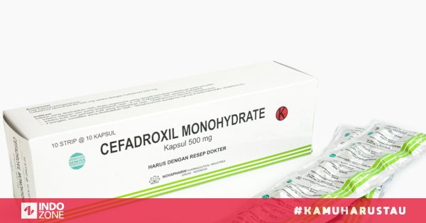 Cefadroxil 500 mg Obat Apa? Ini Kegunaan, Dosis, dan Efek Sampingnya ...