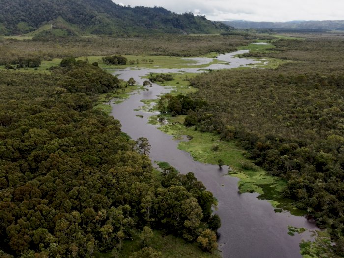 Aneh Banget! Ada Rawa Berada di Atas Ketinggian, View-nya Mirip Sungai ...