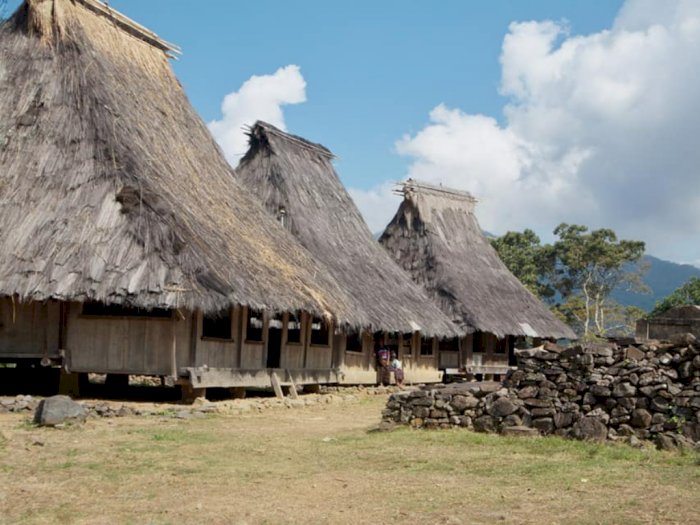 Kisah di Balik Rumah Adat Wologai di NTT, Dibangun Pakai Kayu Nebangnya ...