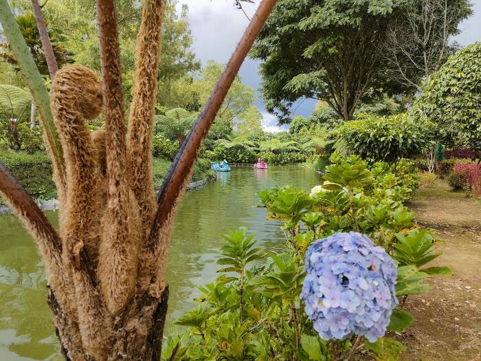 Omah Oyot, Berdiri Pakai Uang Iuran Warga, Kini Jadi Wisata Unggulan ...